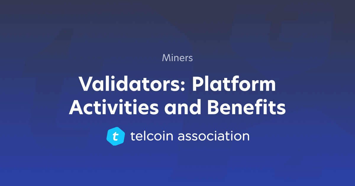 Validators: Platform Activities and Benefits